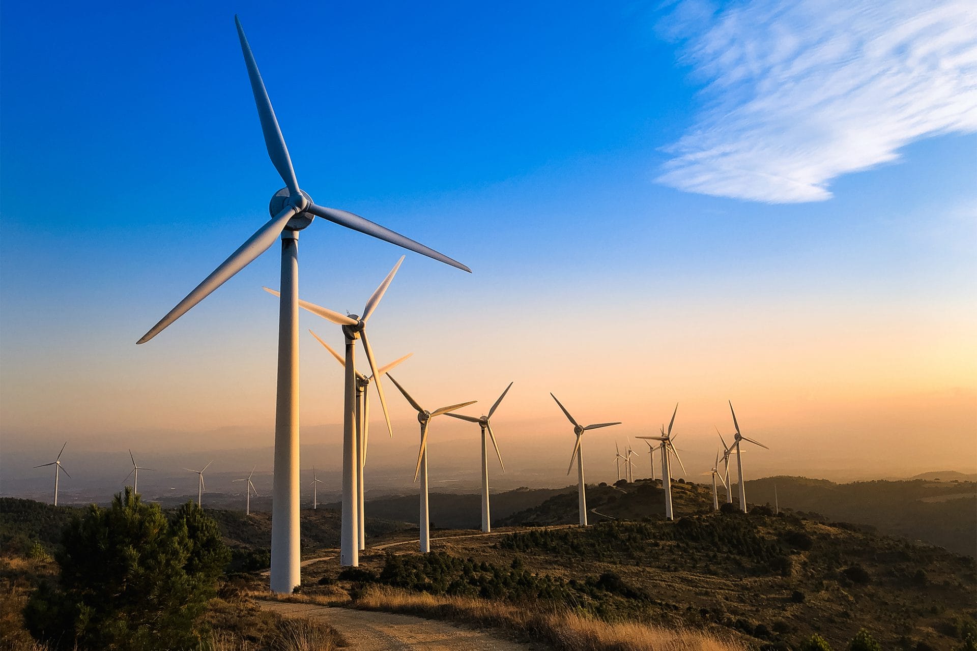 Harnessing the Power of Wind: The Future of Wind Energy – MyAIU Radio