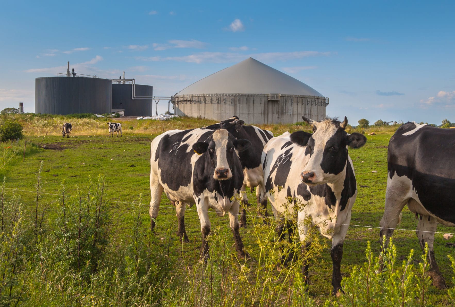 Bioenergy: Harnessing Nature’s Power for a Sustainable Future – MyAIU Radio