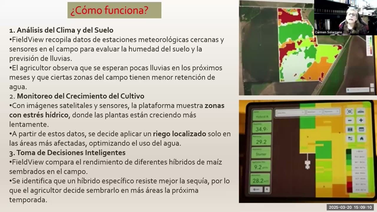 Fisiología de las Plantas y la Eficiencia Agrícol por Carmen Sol S ...